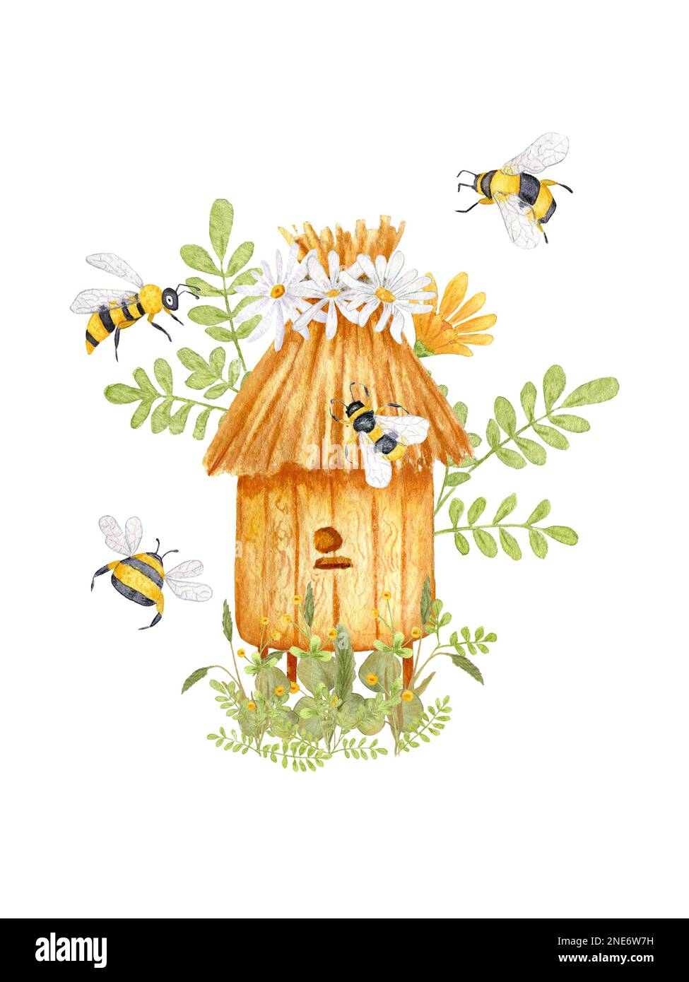 Watercolor illustration on the topic of beekeeping. Bee Wooden Beehive ...
