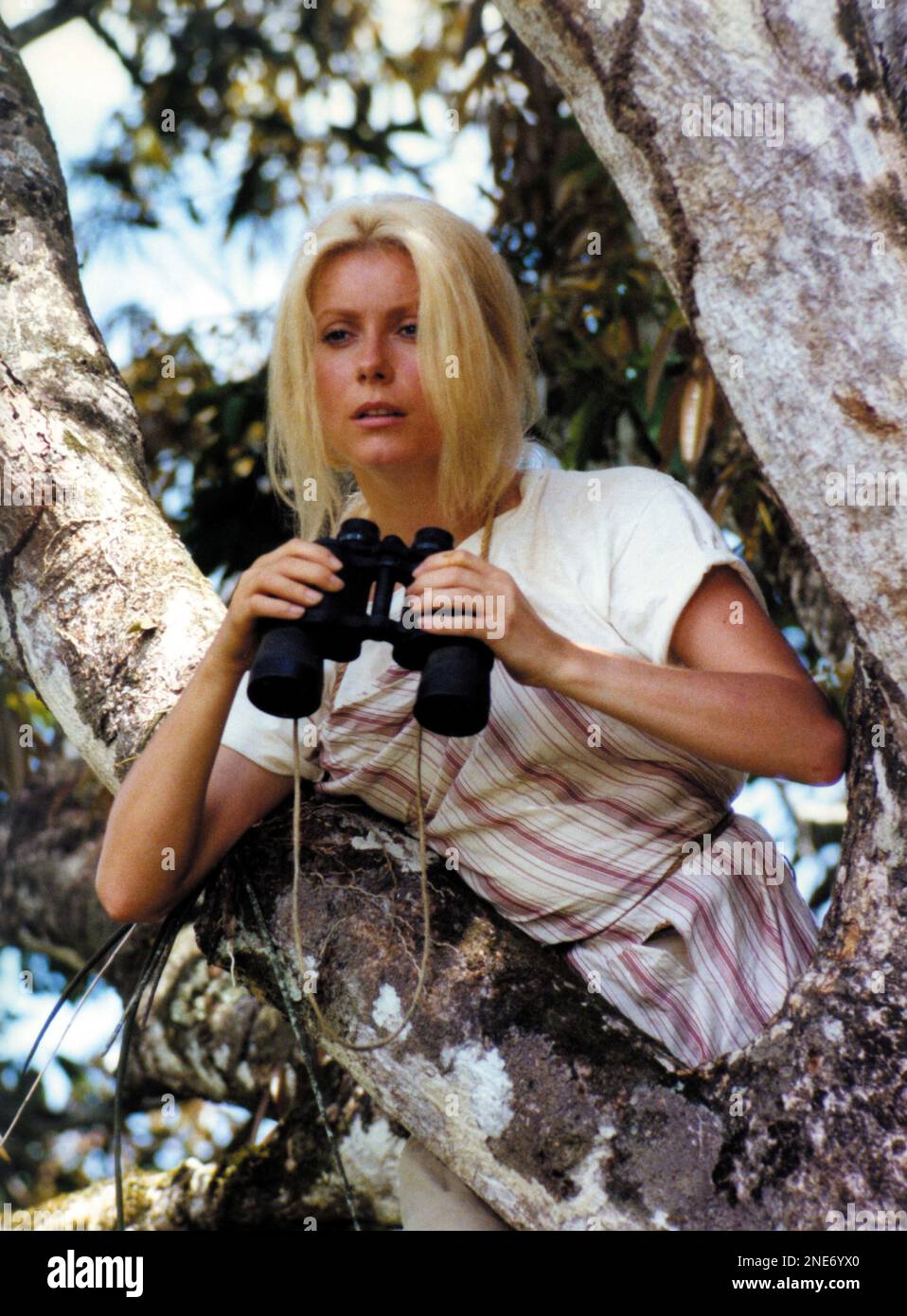 CATHERINE DENEUVE in THE SAVAGE (1975) -Original title: LE SAUVAGE ...