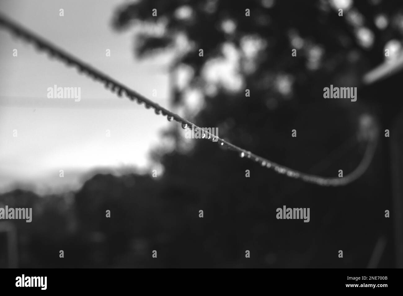 String of raindrops hi-res stock photography and images - Alamy