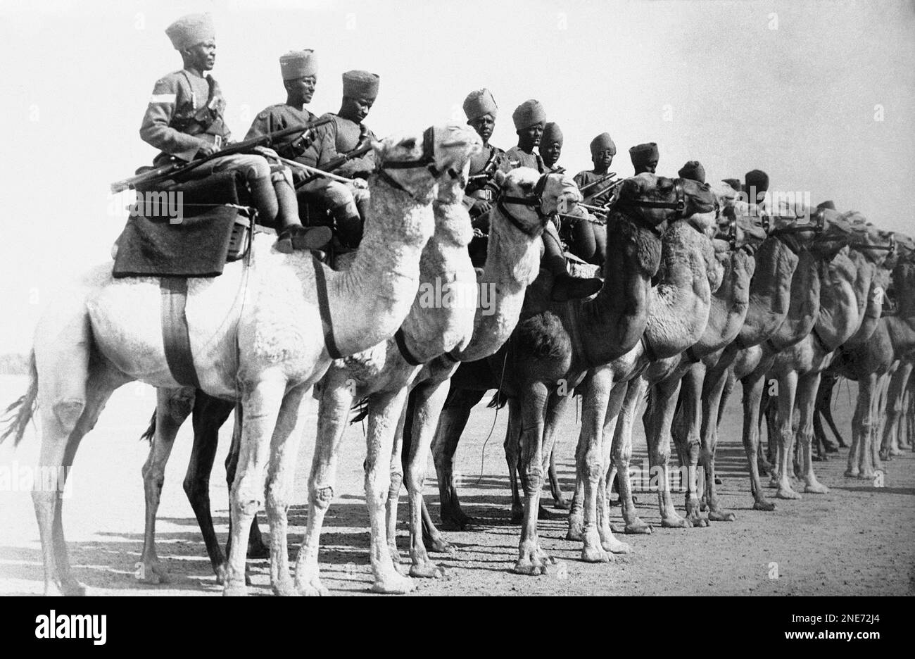 Men of the Camel Corps in the Egyptian army on their mounts, somewhere ...