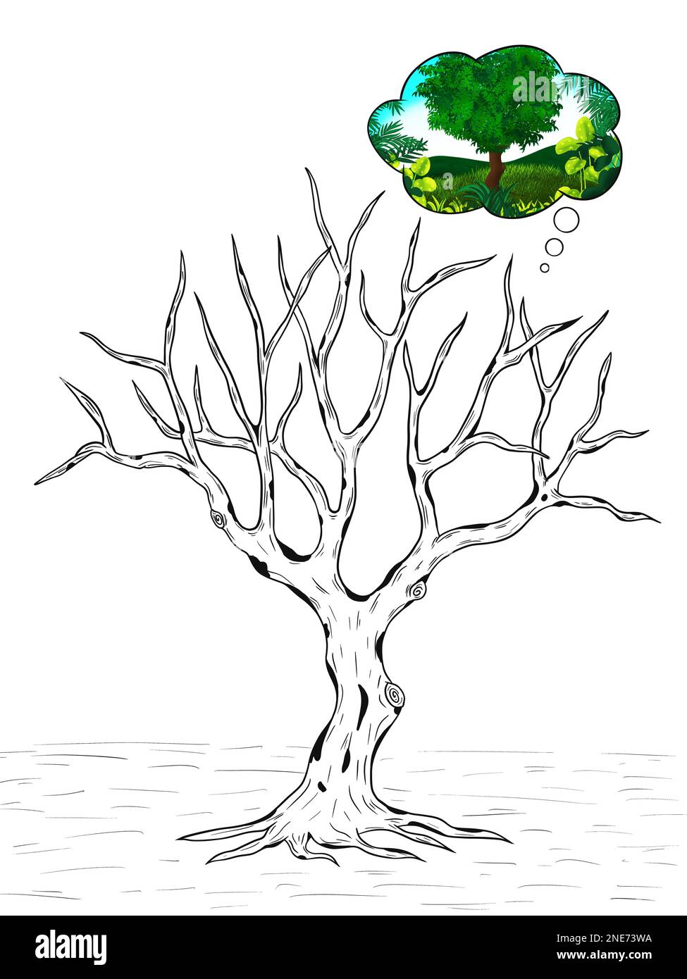 Thinking tree. Dreaming tree. Burnt tree. Arid land. Missing the old ...