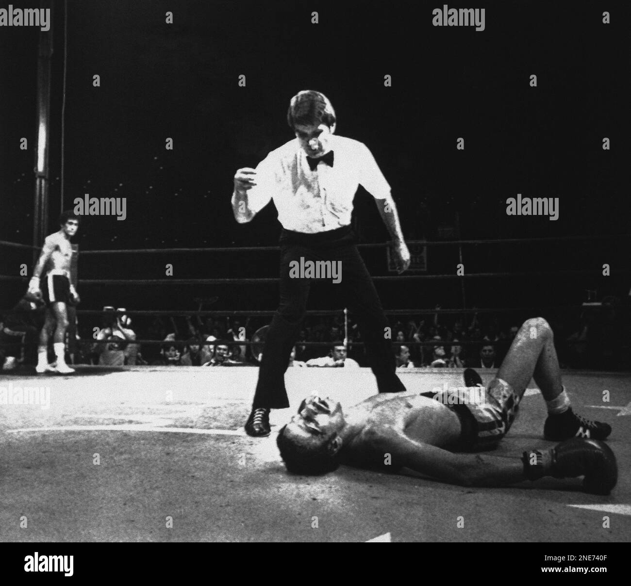 English boxer Pat Cowdell on his back in the 15th round as referee ...