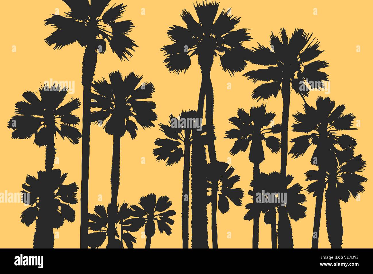 Silhouettes palm trees tropical Stock Vector Images - Alamy