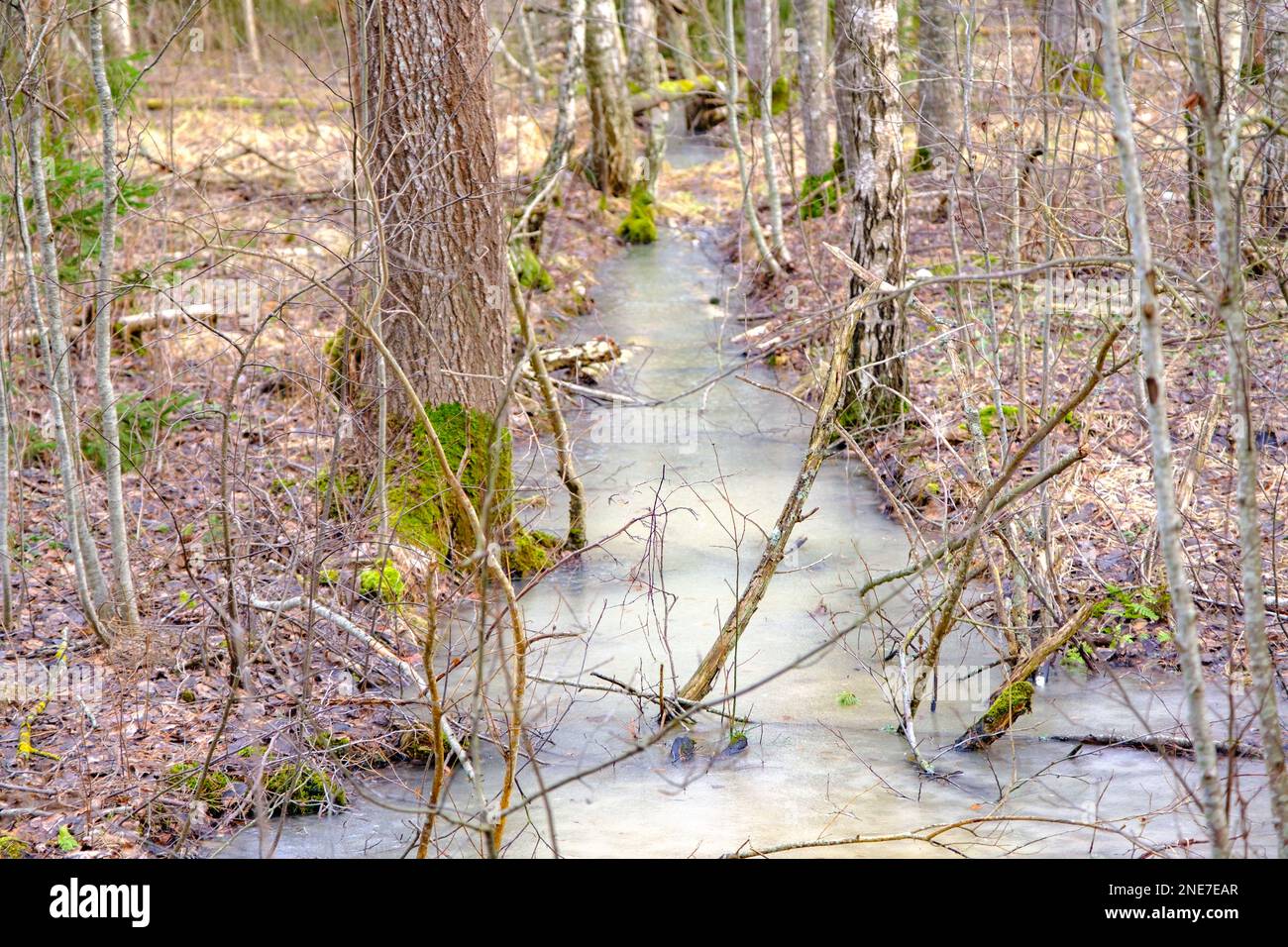 Drainage ditch at side of road hi-res stock photography and images - Alamy