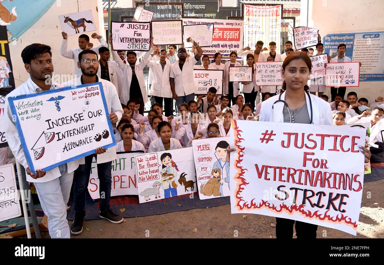 Vice chancellor of veterinary medicine hi-res stock photography and ...