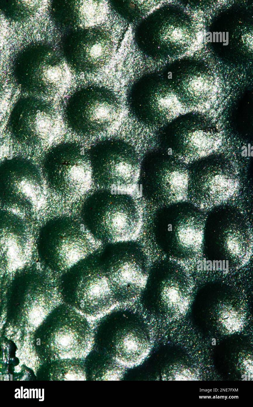 A Alien trypophobia holes in a shiny sci-fi close up background Stock ...