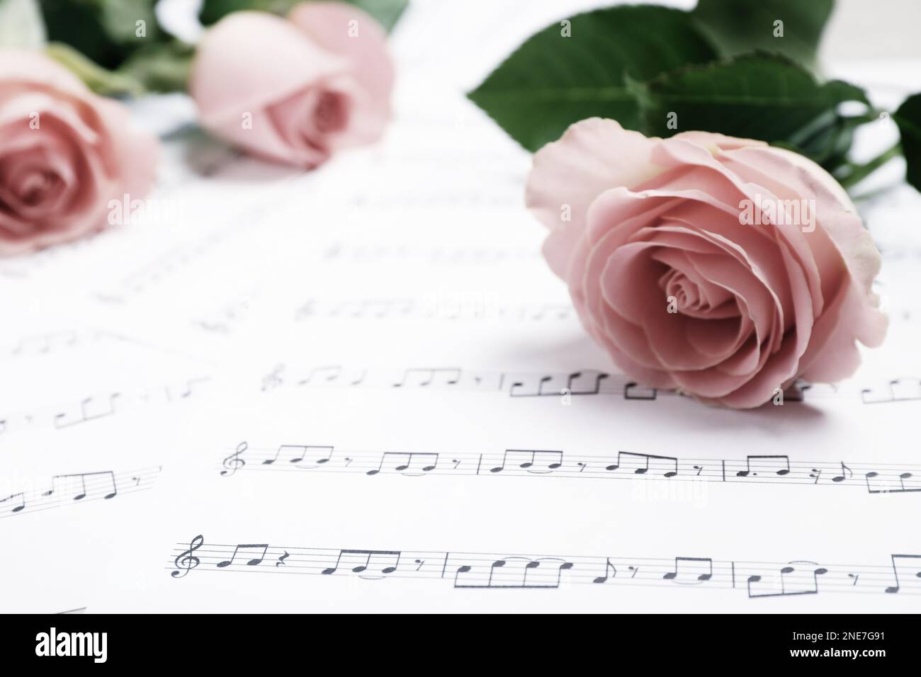 Musical notes roses hi-res stock photography and images - Alamy