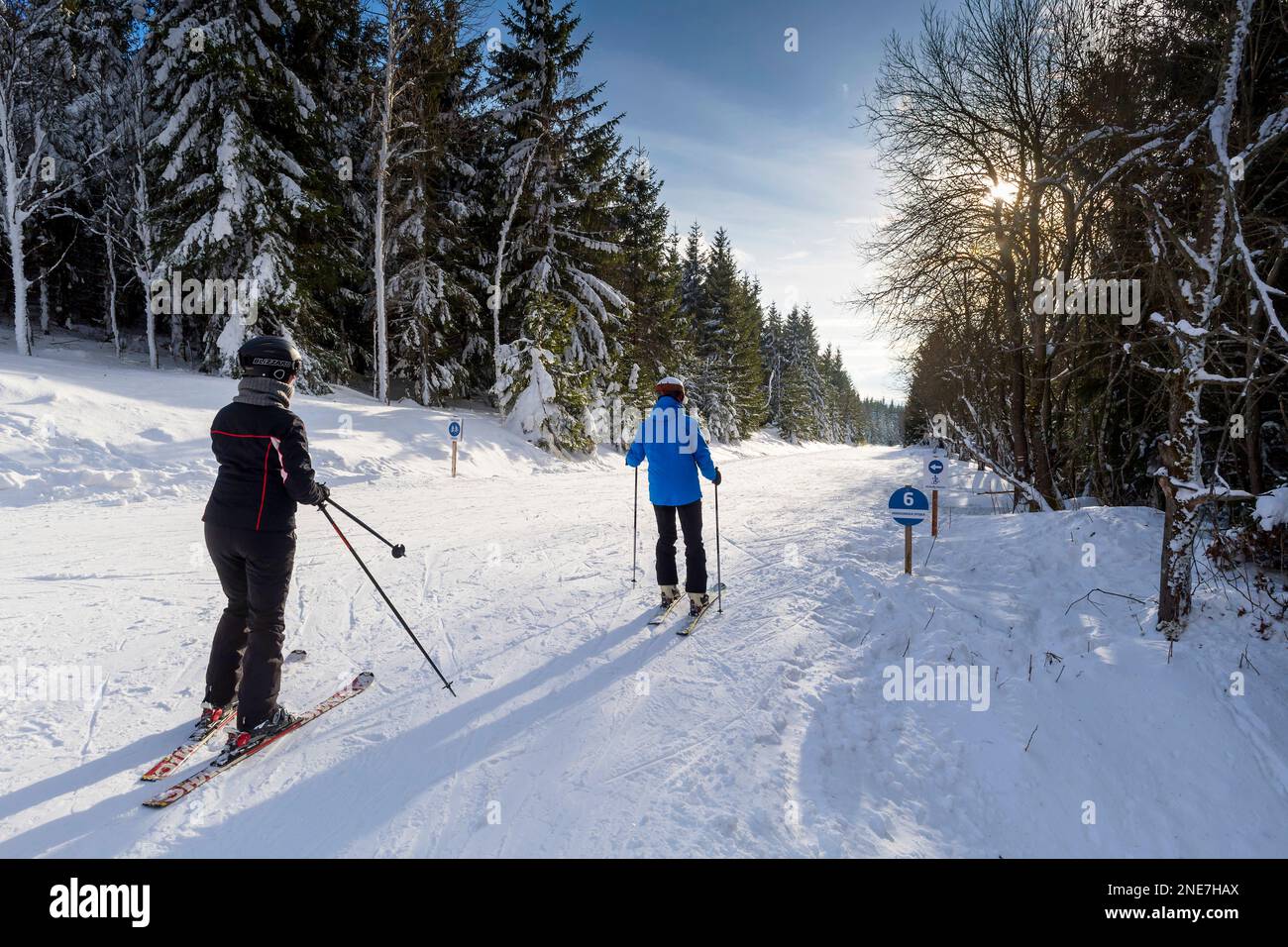 silhouette of two skiers back to the lens, skiing in the sunny winter ...