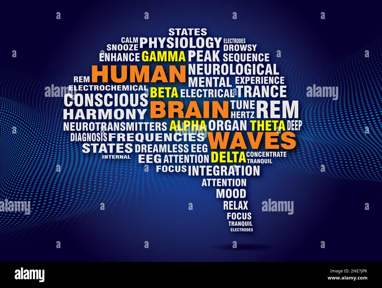 The word cloud of Rhythms of the Brain: Exploring the World of Brain ...