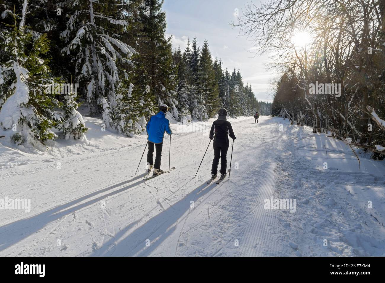 silhouette of two skiers back to the lens, skiing in the sunny winter ...