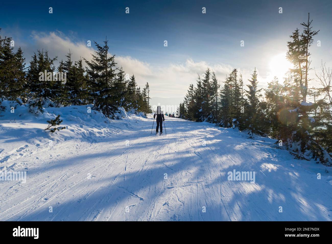 Soow and frost hi-res stock photography and images - Alamy