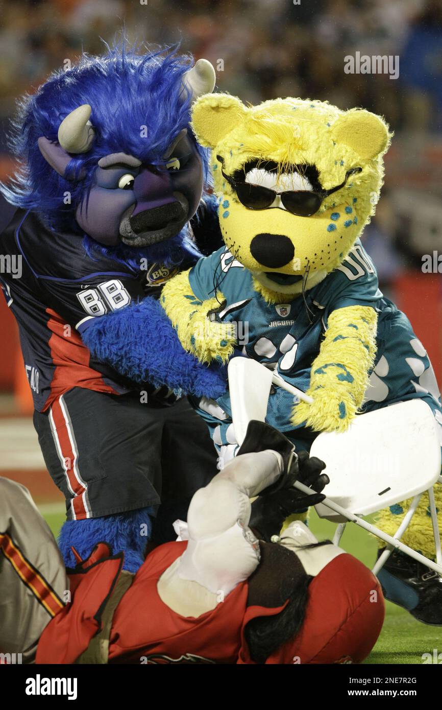 Nfl Mascots Fights