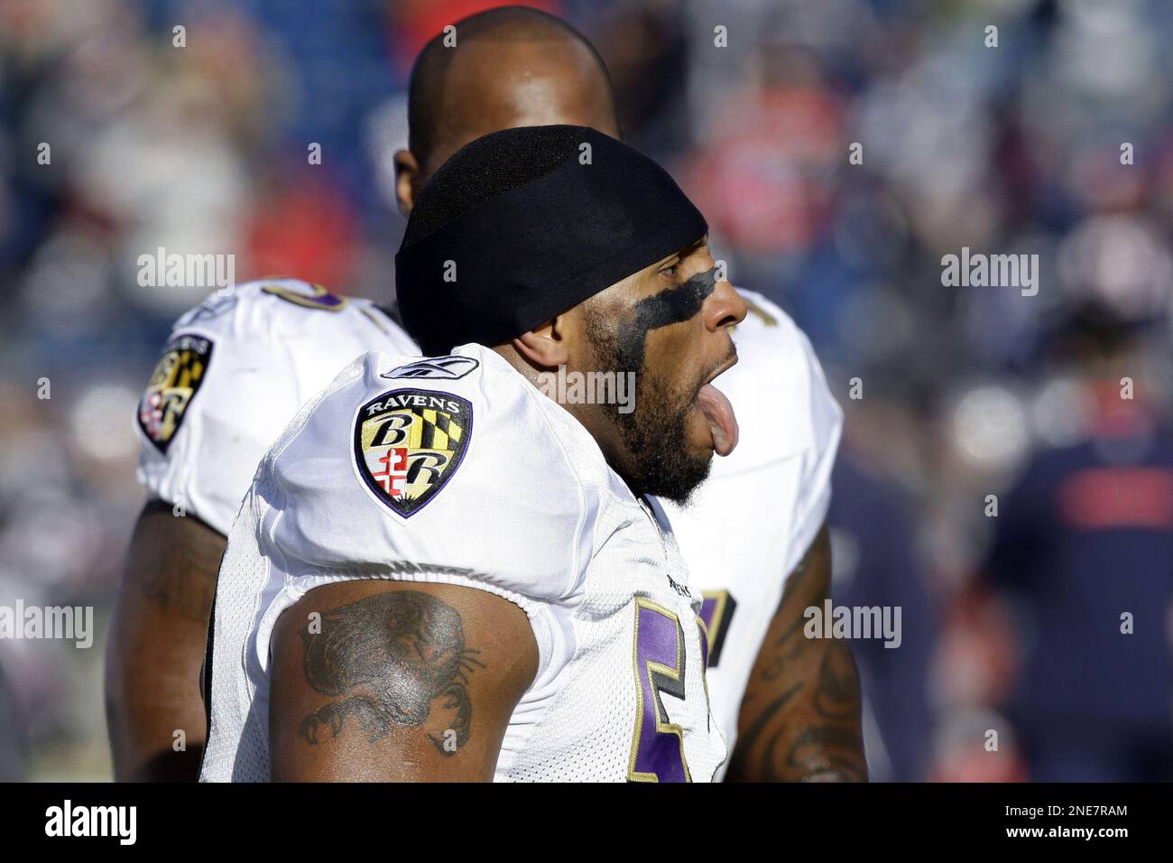 Ray Lewis Hit On Chad Johnson