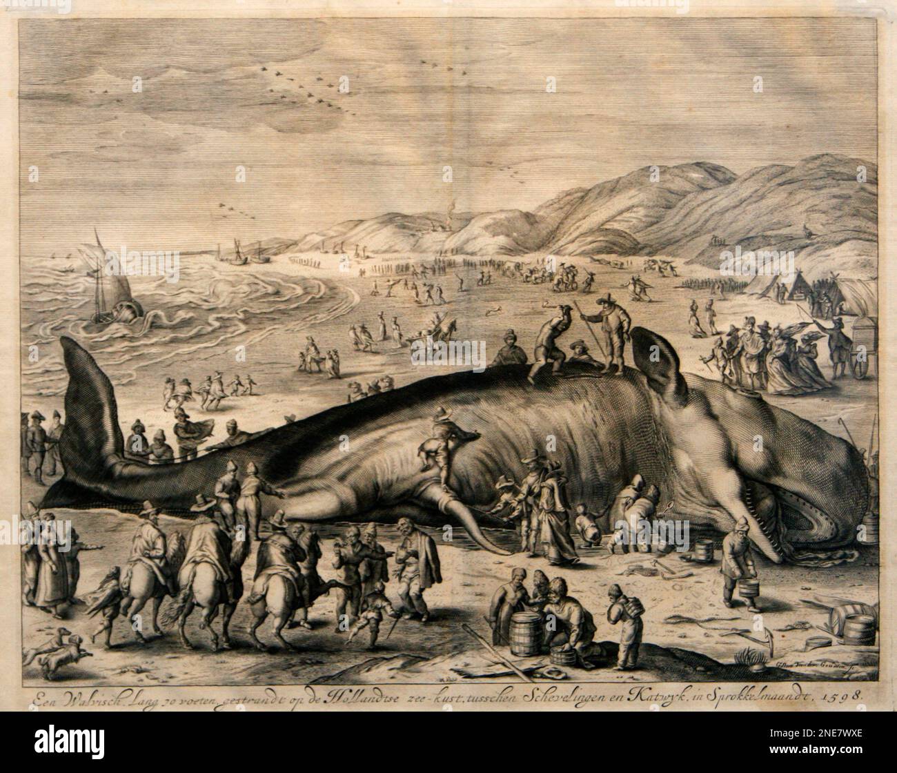 A wood engraving from 1598 shows a stranded whale at a Dutch coast in ...