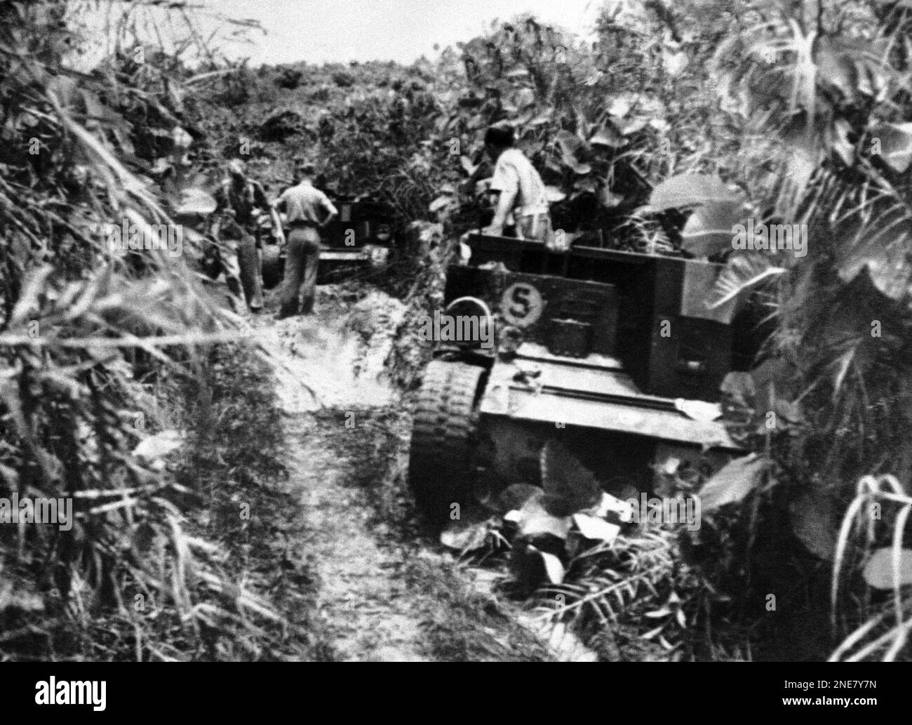British Bren-gun carriers passing through a Malayan jungle swamp as ...