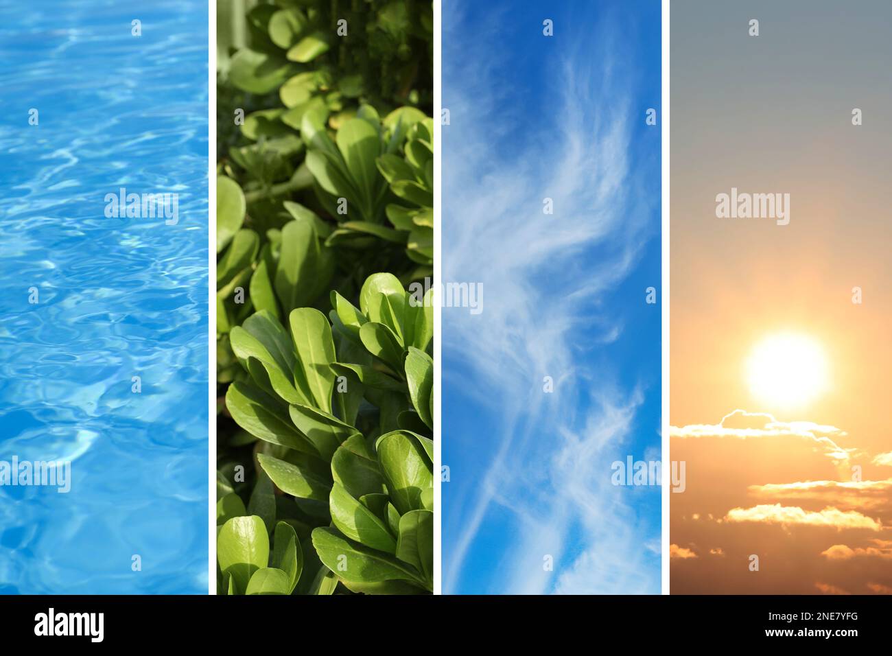 Collage with photos of water, green plants, blue sky and sun. Beautiful ...