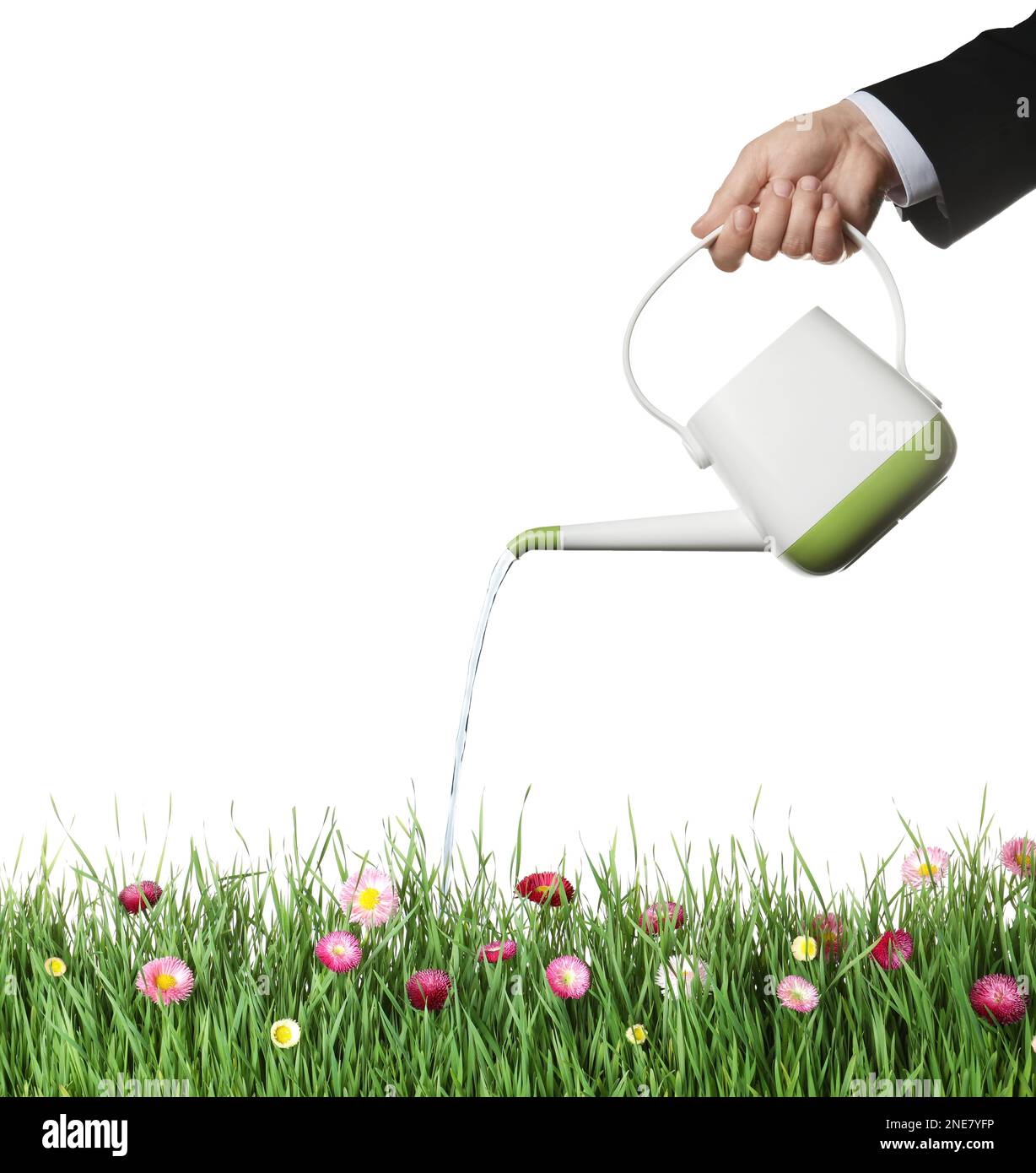 Watering plant at the base hi-res stock photography and images - Alamy