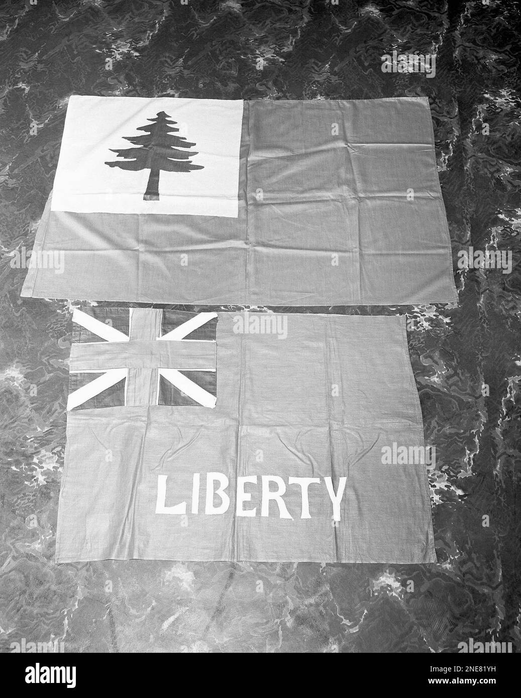 The top flag shown in Chicago on June 10, 1948 is Mrs. William H ...
