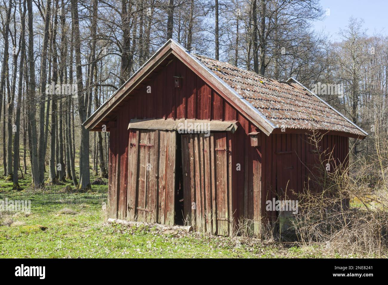 Red abandoned shed in the woods Stock Photo - Alamy
