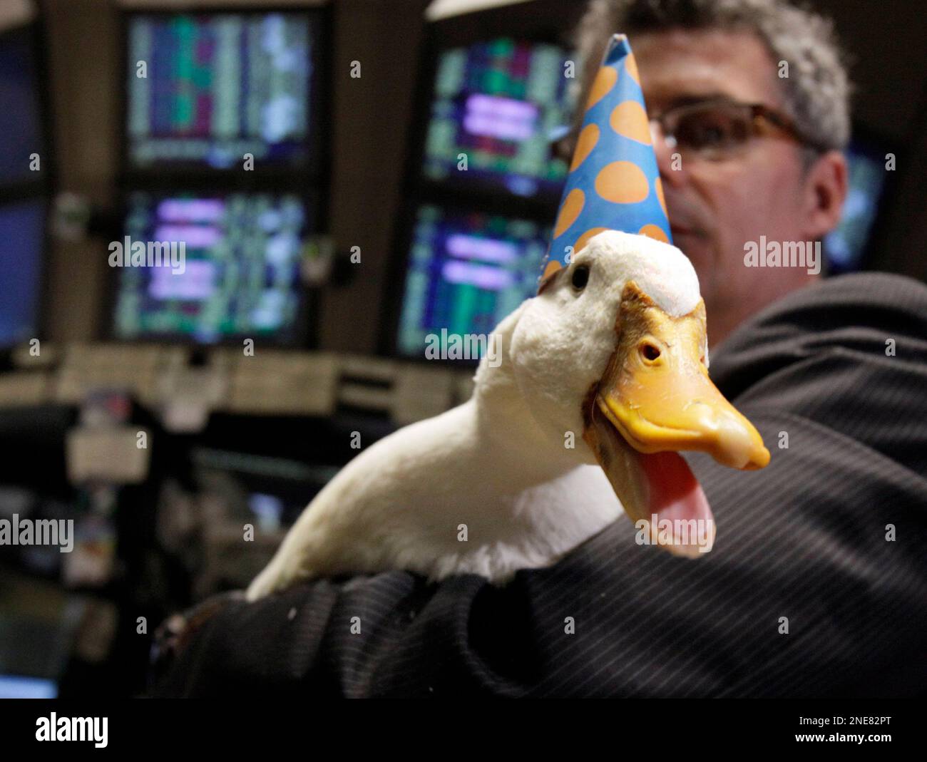 The Aflac duck mascot visits the floor of the New York Stock Exchange ...