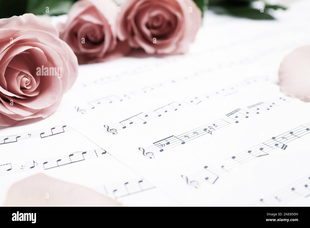 Musical notes roses hi-res stock photography and images - Alamy