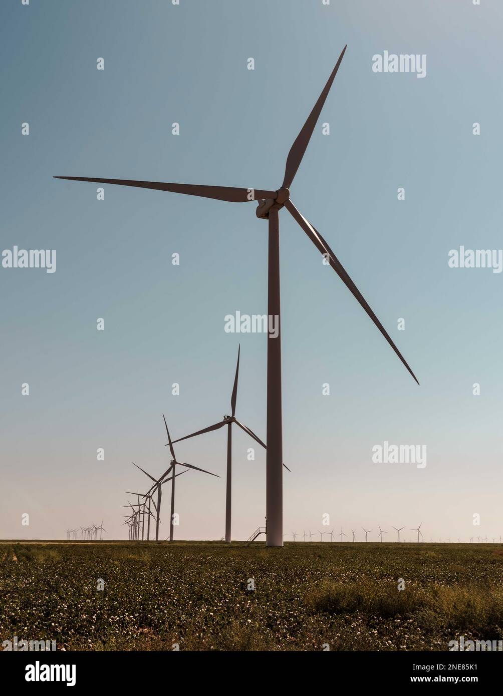 Windmill vertical texas hi-res stock photography and images - Alamy