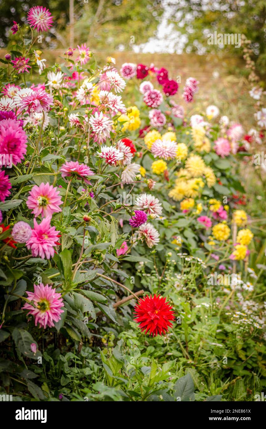 Quintessential english garden hi-res stock photography and images - Alamy