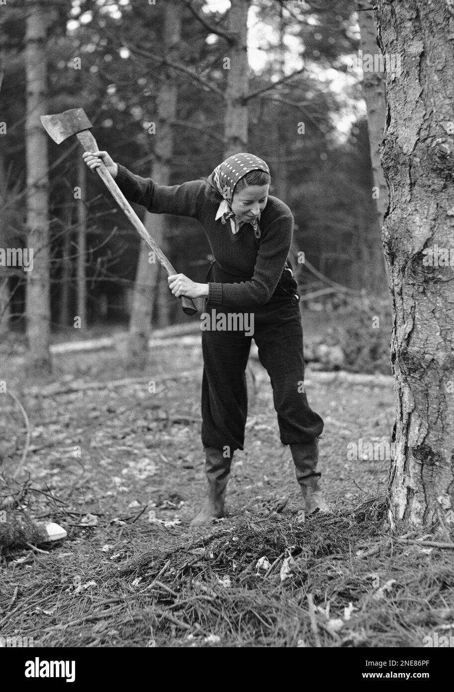 The girls of the Women’s Land Army have taken on the job in various ...