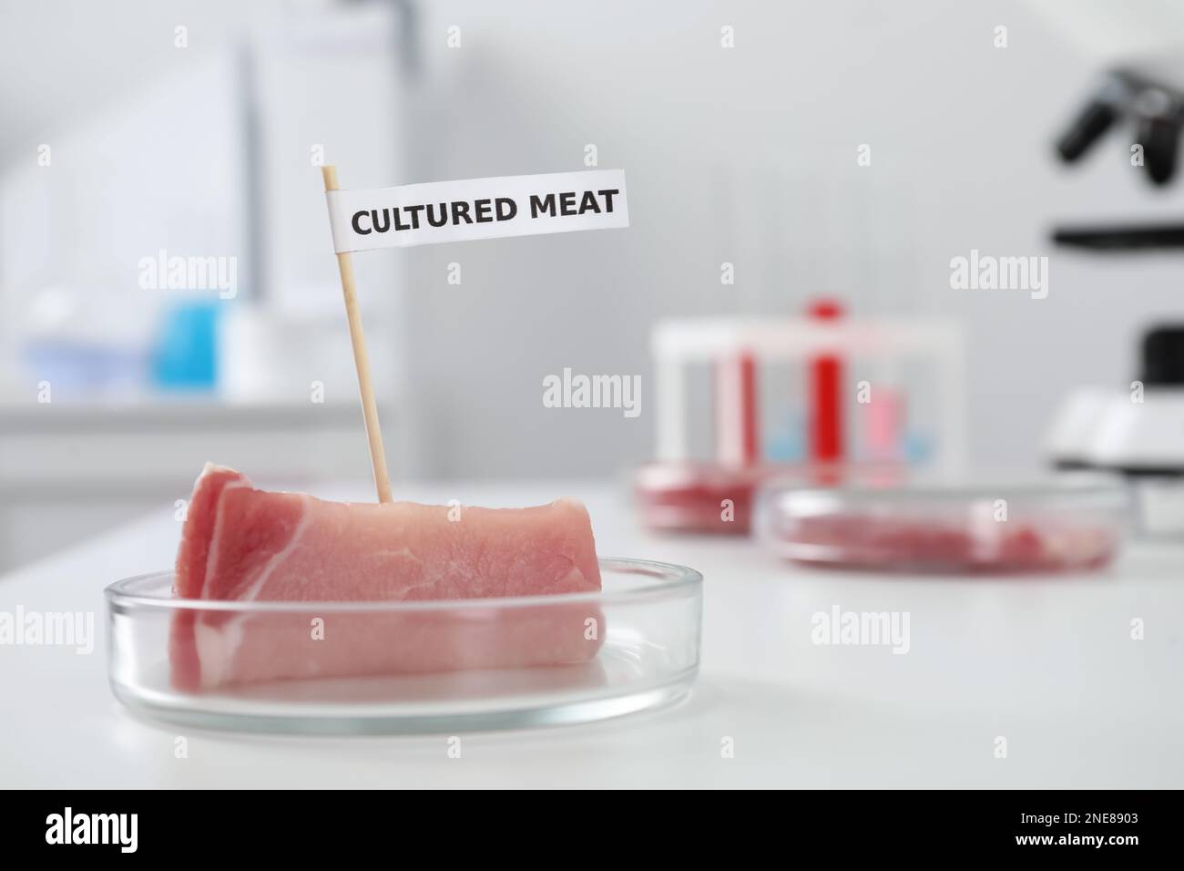 Petri dish with sample of lab grown pork labeled Cultured Meat on white ...