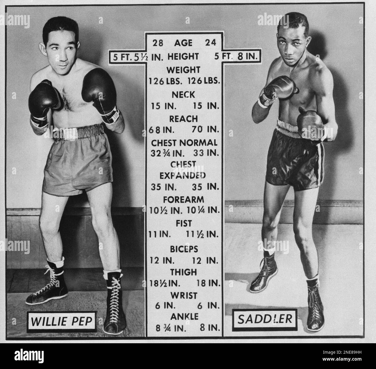 Chart shows comparison between featherweight champion Willie Pep of ...