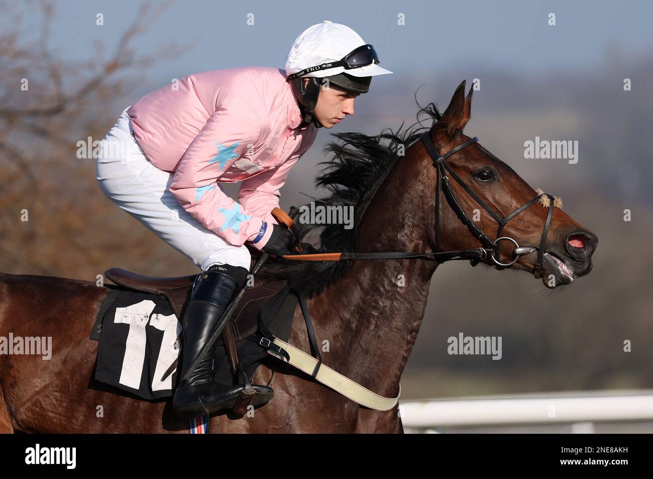 Harry reed hi-res stock photography and images - Alamy