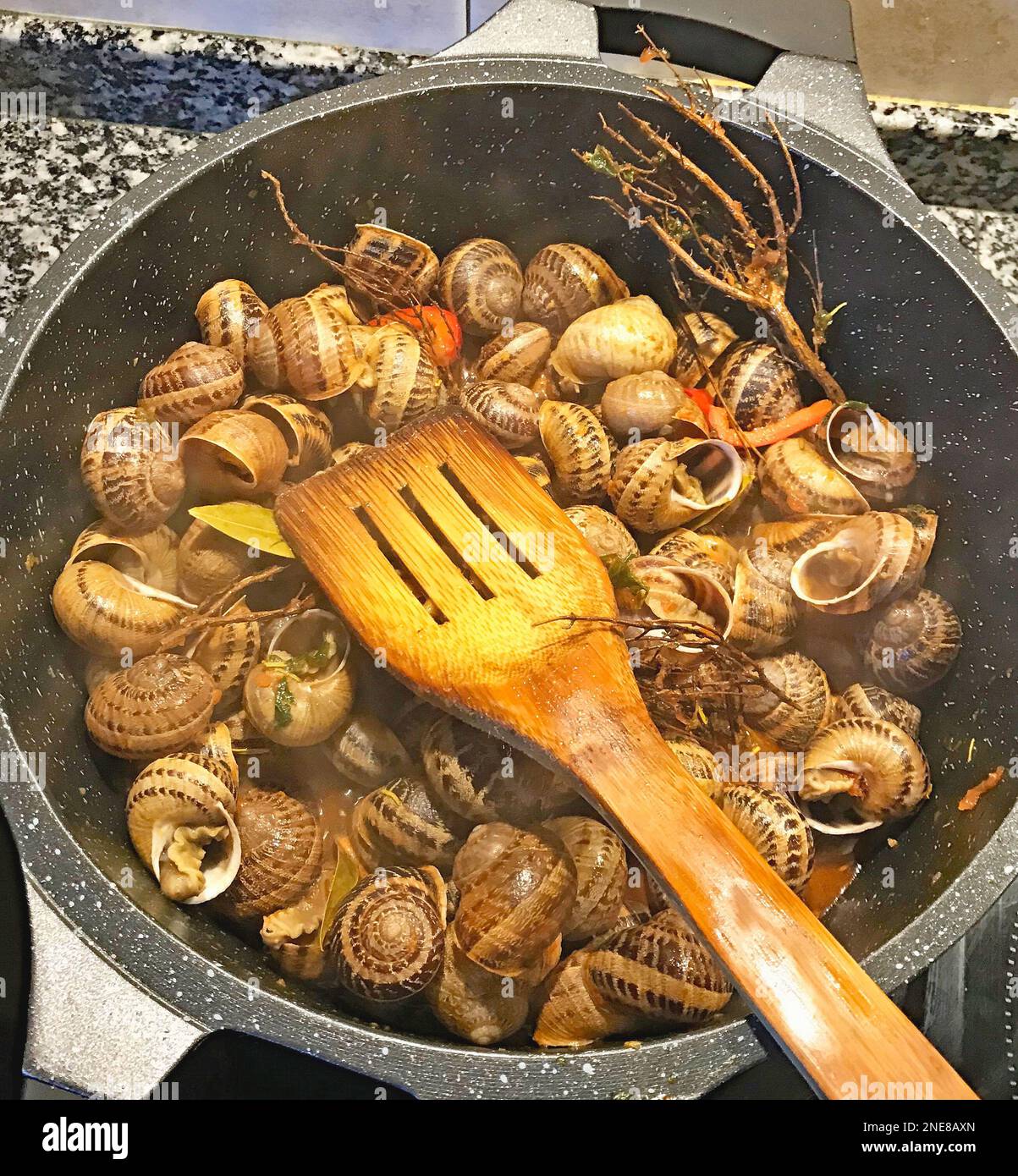 Pot of snails in tomato sauce and red pepper Stock Photo - Alamy