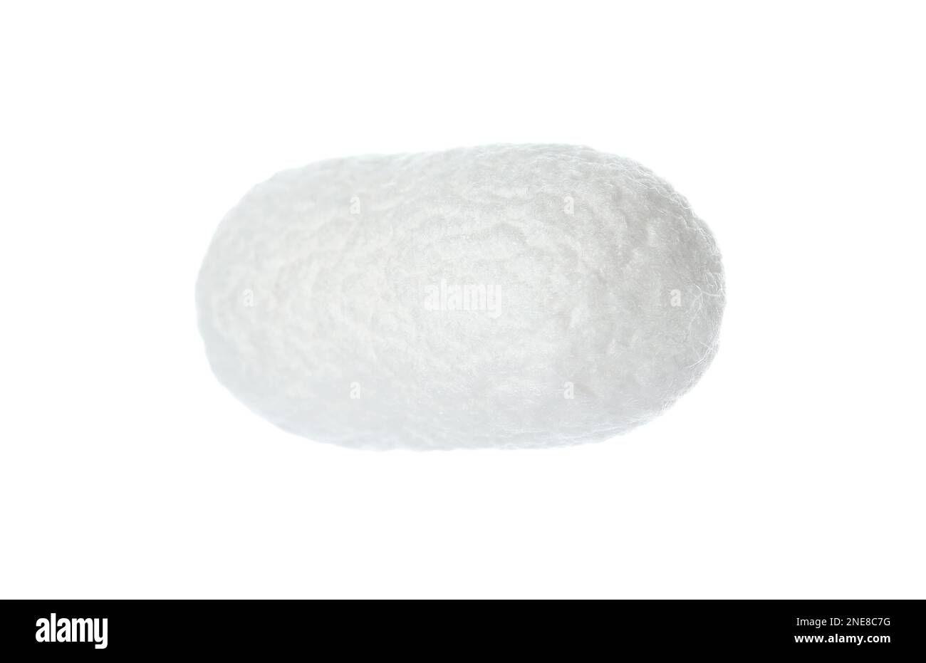Beautiful natural silkworm cocoon isolated on white Stock Photo - Alamy