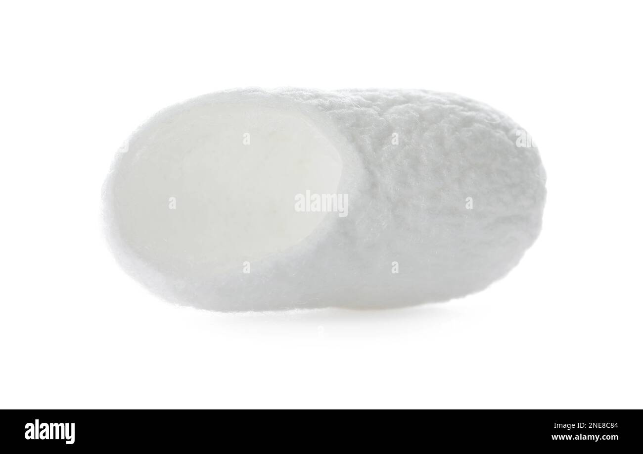 Beautiful natural silkworm cocoon isolated on white Stock Photo - Alamy