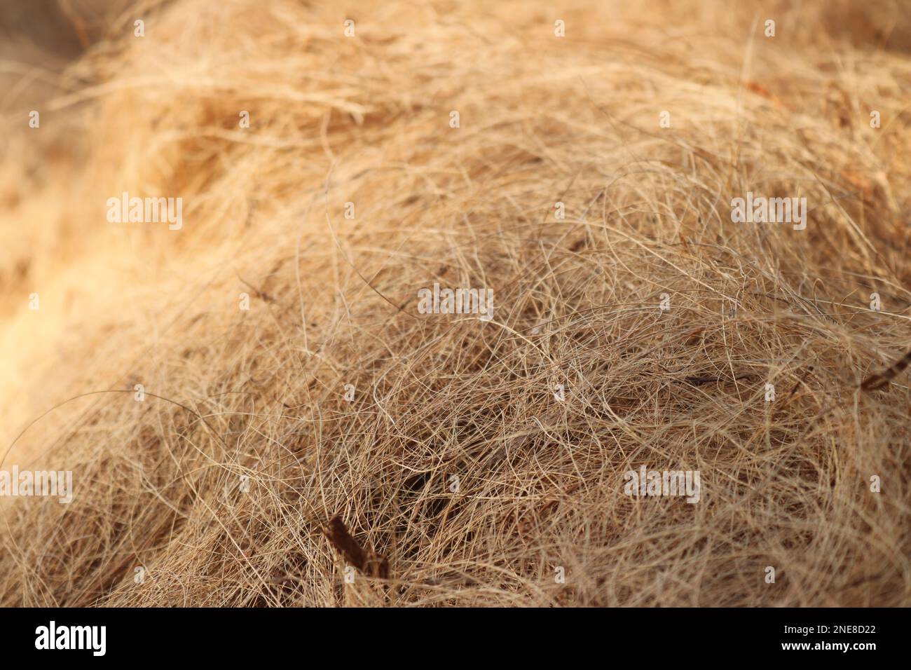 Pure Coconut Fiber Stock Photo - Alamy