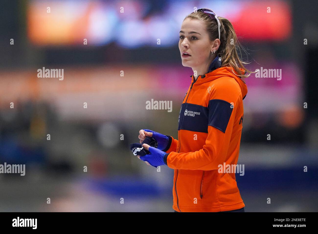 Robin groot hi-res stock photography and images - Alamy