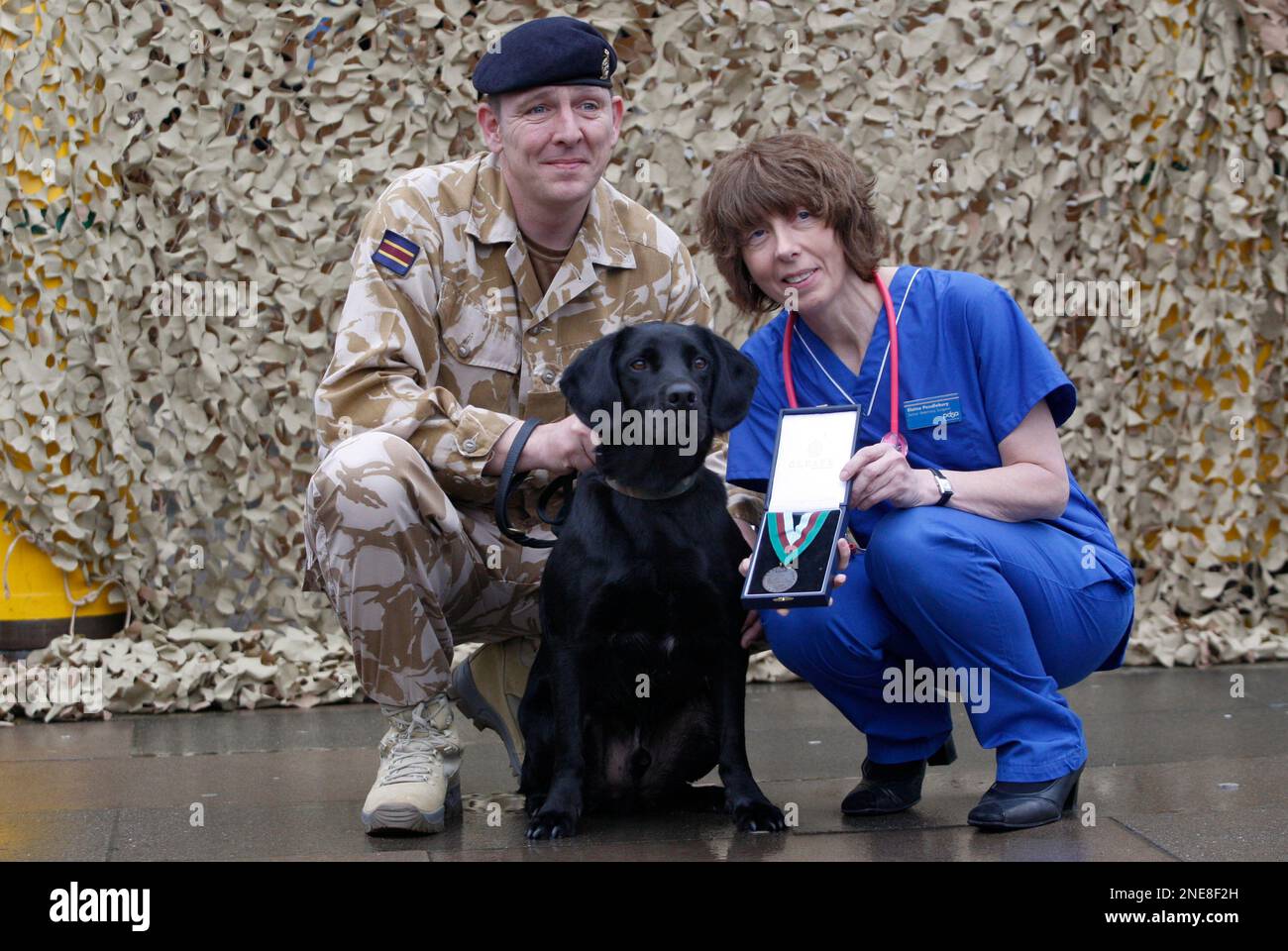 Treo, a labrador from the Military Working Dogs, who is to be presented ...