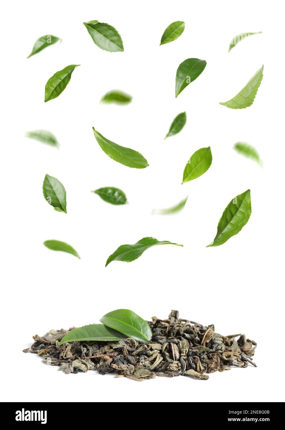 Dry and fresh tea leaves on white background Stock Photo - Alamy