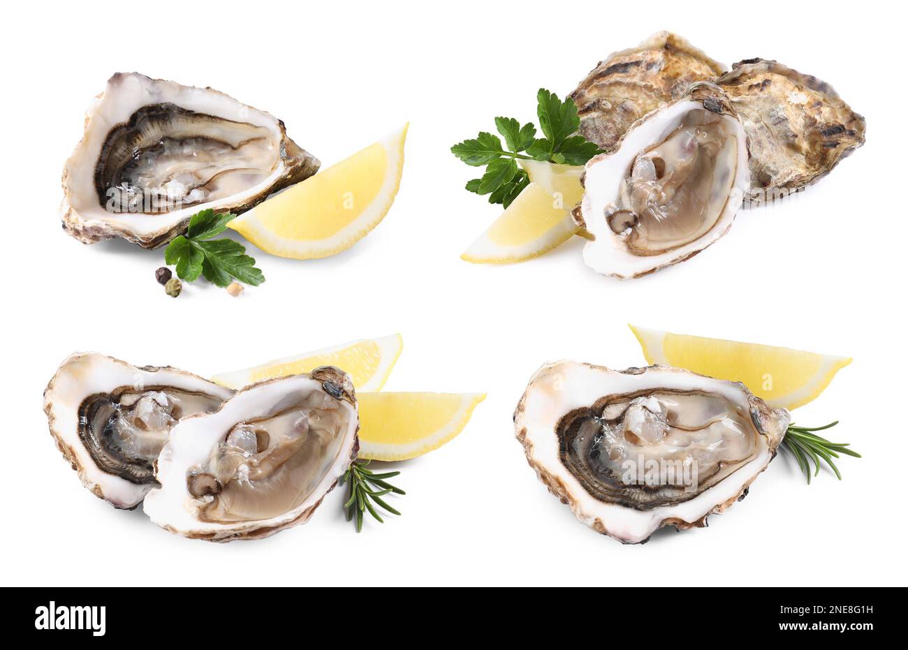 Set with fresh raw oysters on white background Stock Photo - Alamy