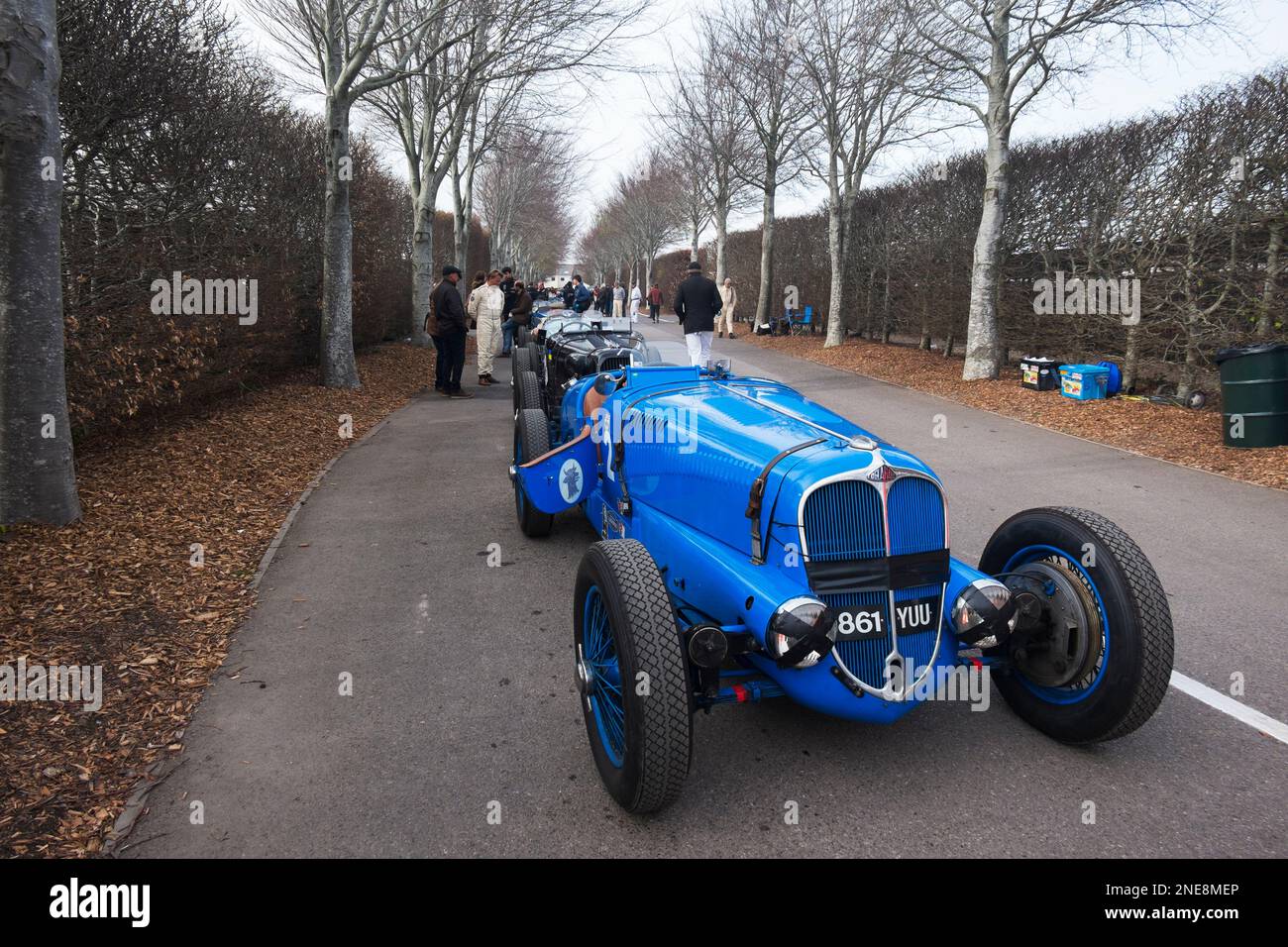 1920s and 1930s Bugatti, Delahaye and Alfa Romeo racing cars lined up ...