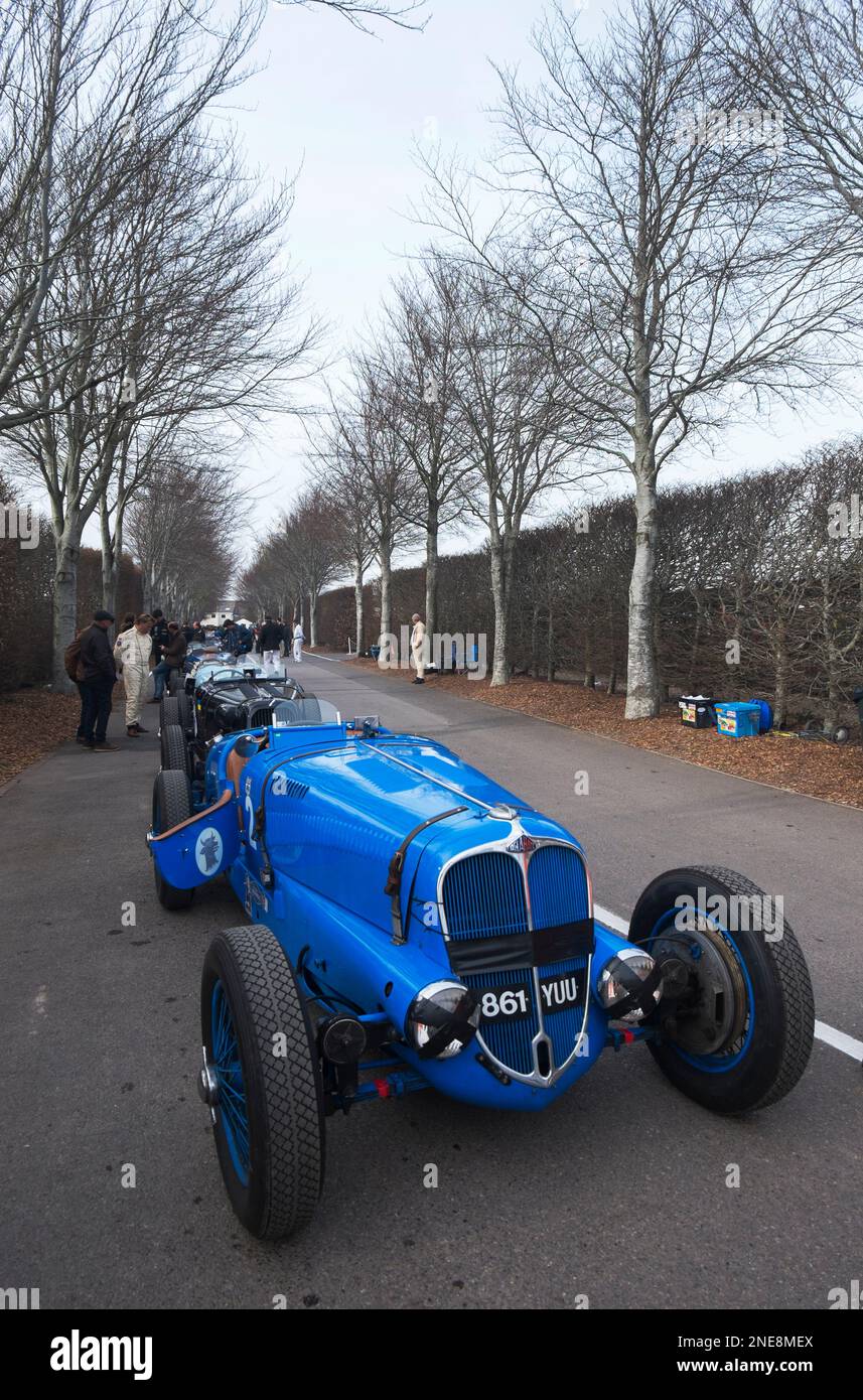 1920s and 1930s Bugatti, Delahaye and Alfa Romeo racing cars lined up ...