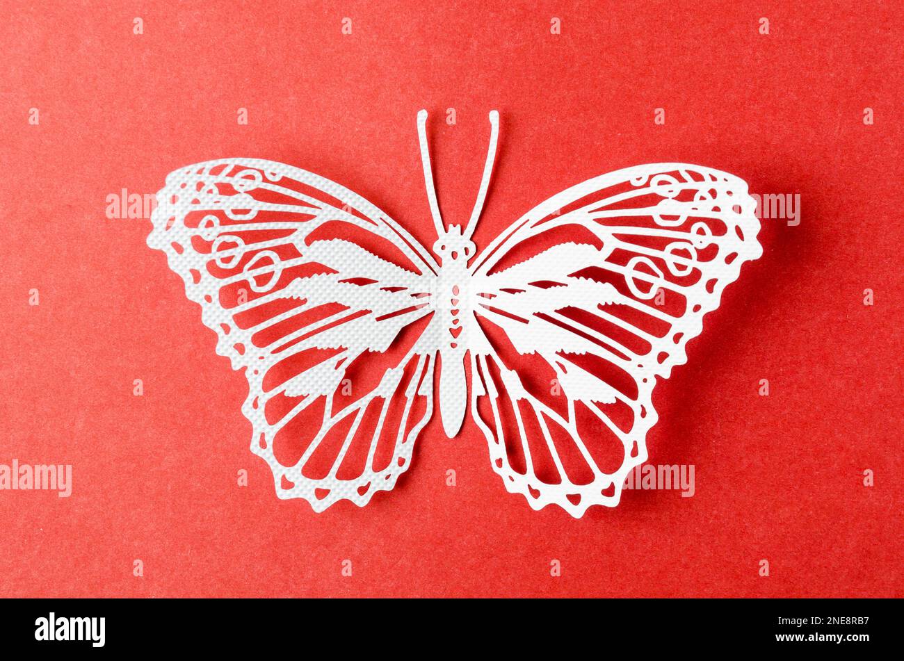 Paper butterfly carve on a red background with empty space Stock Photo ...
