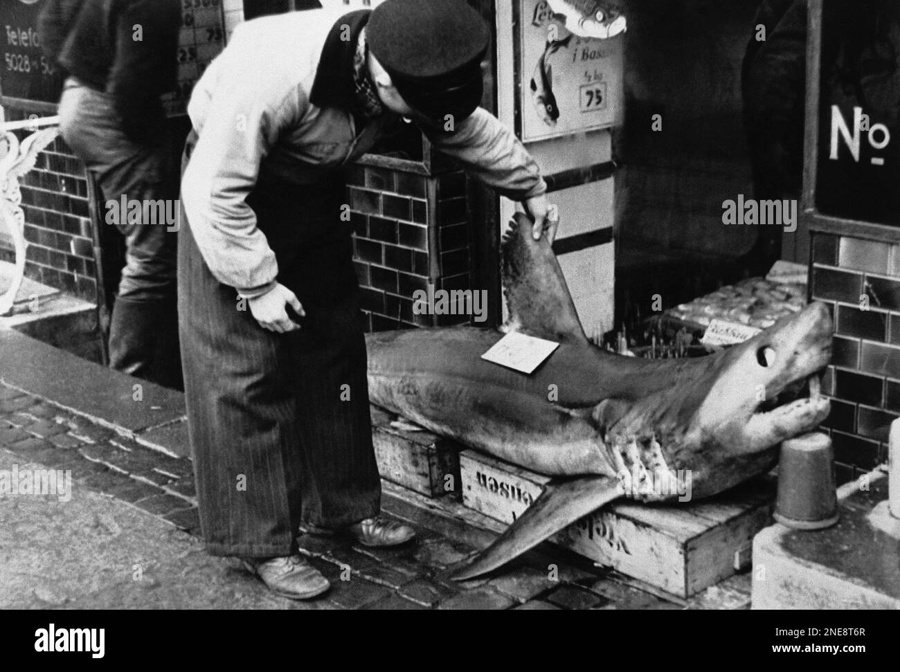 A shark on display outside a fishmonger’s shop in Copenhagen, Denmark ...