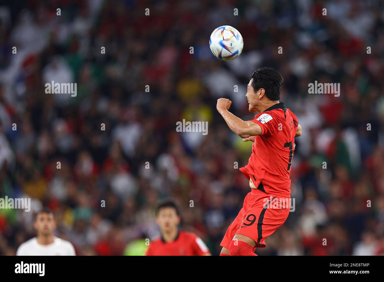 AL RAYYAN, QATAR - DECEMBER 02: Younggwon Kim during the FIFA World Cup ...