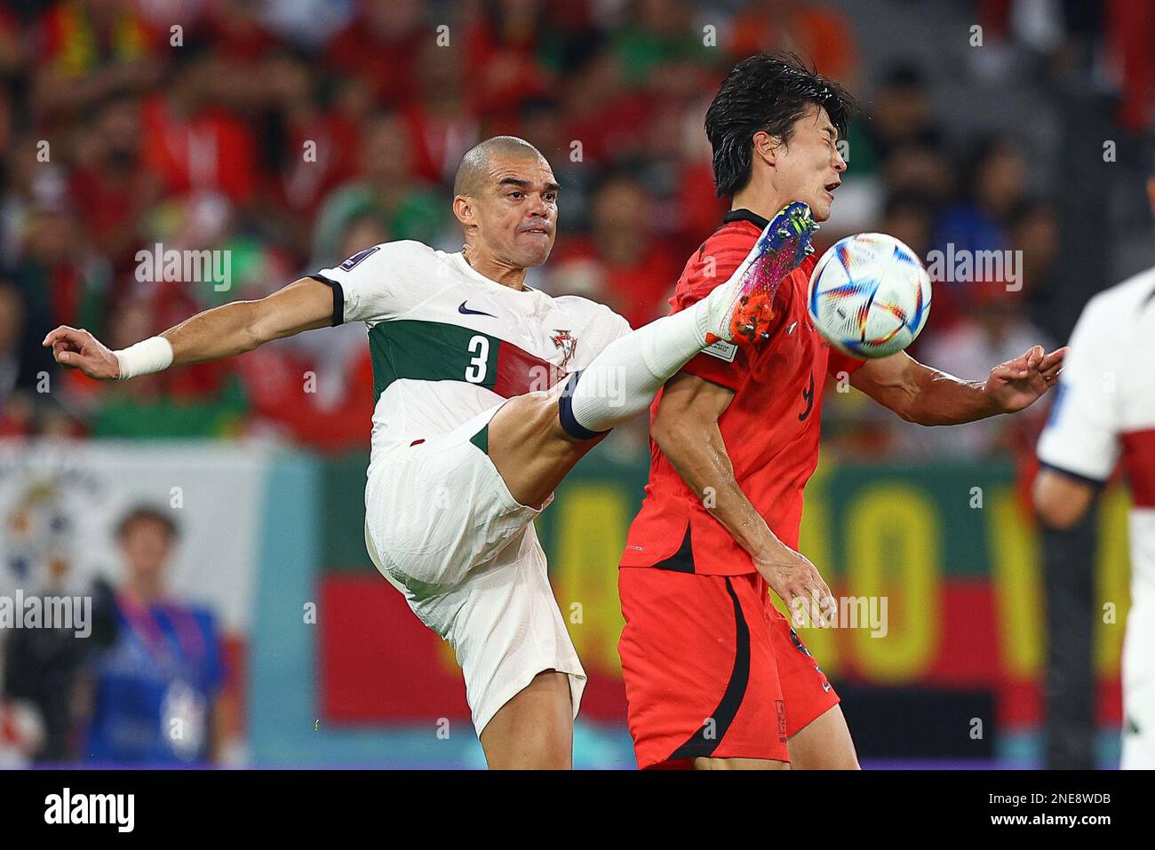 AL RAYYAN, QATAR - DECEMBER 02: Pepe, Guesung Cho during the FIFA World ...