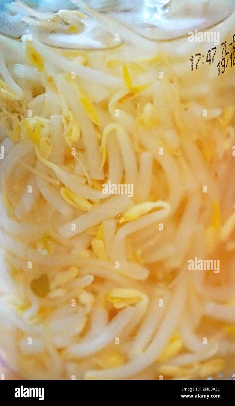 Packaged bean sprouts hi-res stock photography and images - Alamy