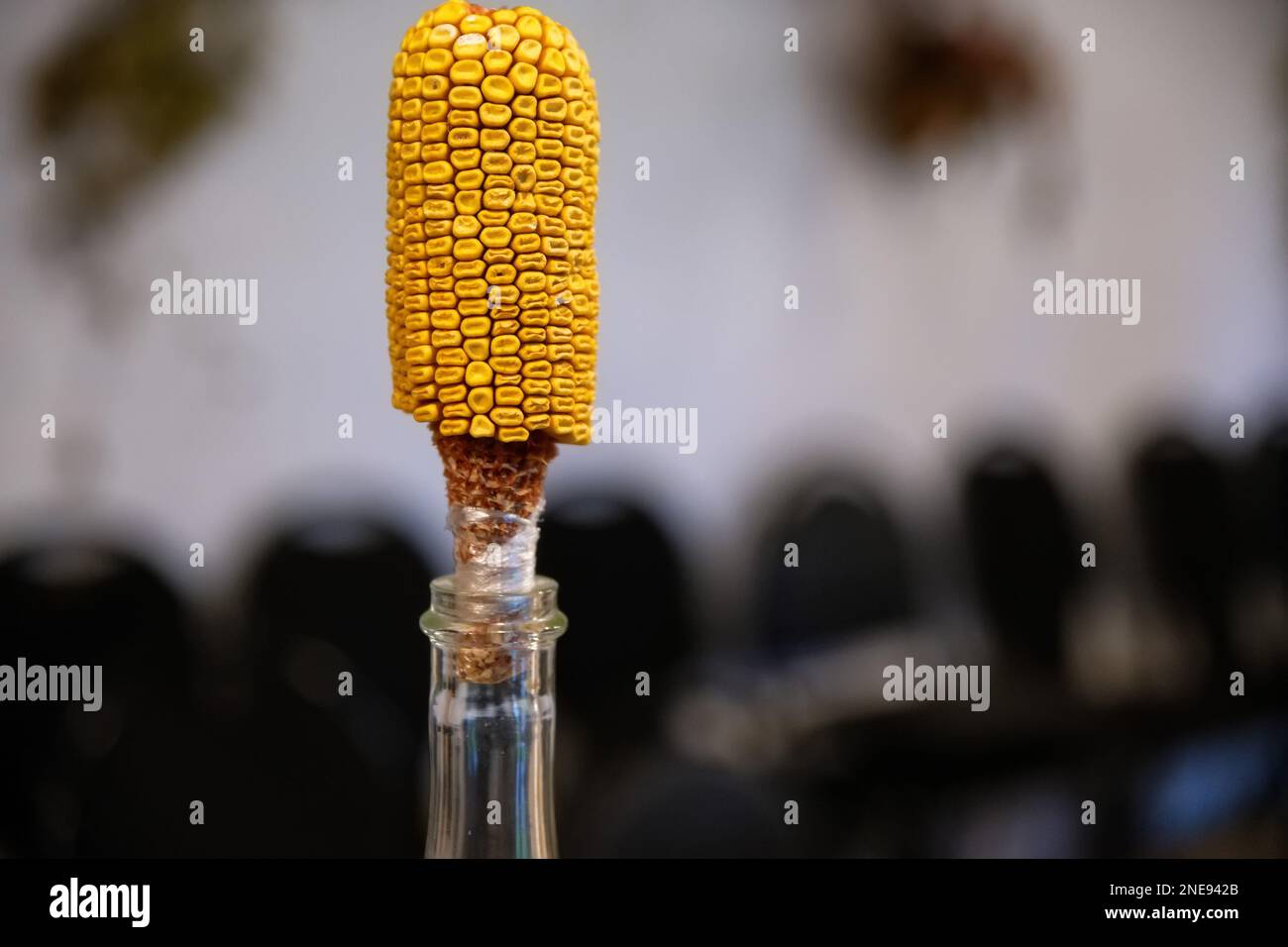 View of glass bottle of moonshine close up. A cob of corn as a stopper ...