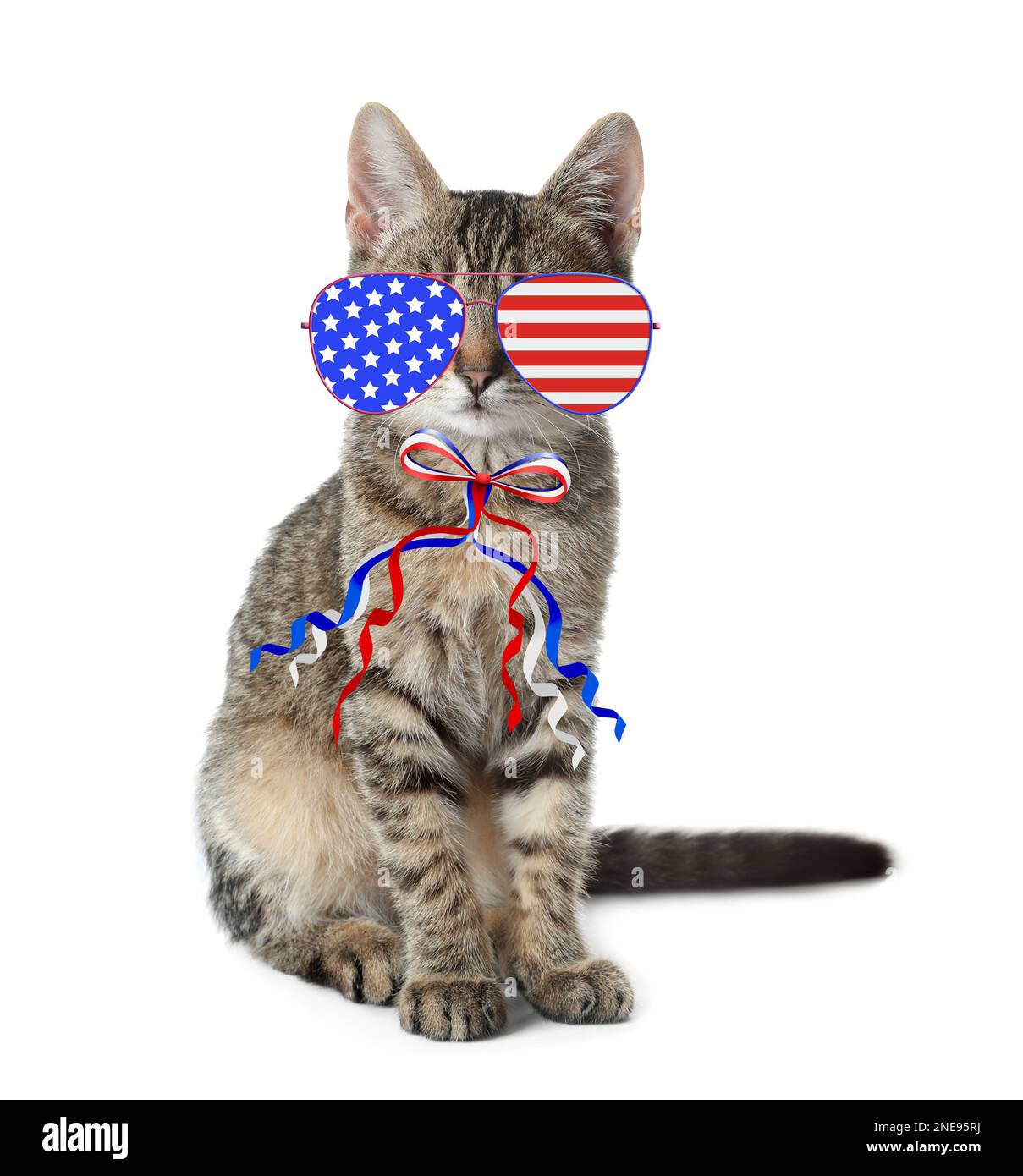 Happy thanksgiving! cute cat Cut Out Stock Images & Pictures - Alamy