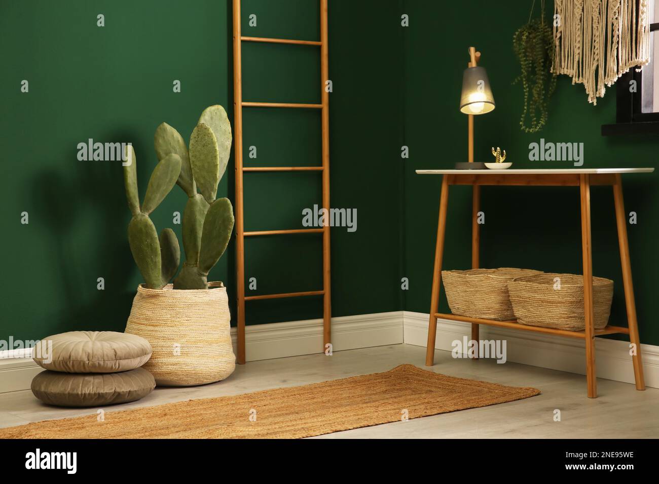 Plant ladder cactus hi-res stock photography and images - Alamy