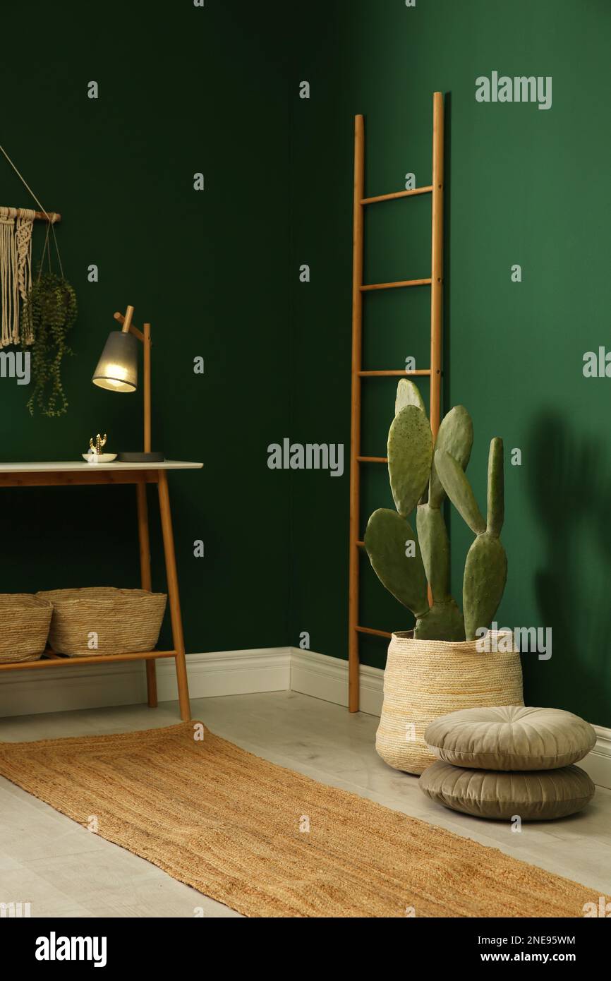 Plant ladder cactus hi-res stock photography and images - Alamy